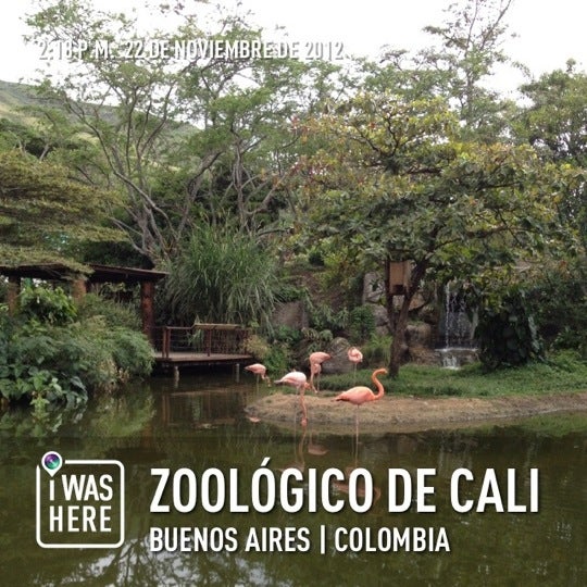 Zoológico de Cali - 84 tips from 2216 visitors