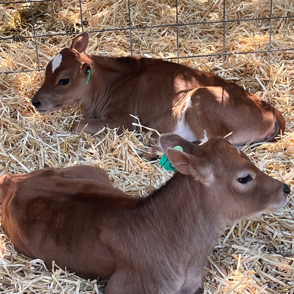 Ragle Ranch Regional Park - 7 tips