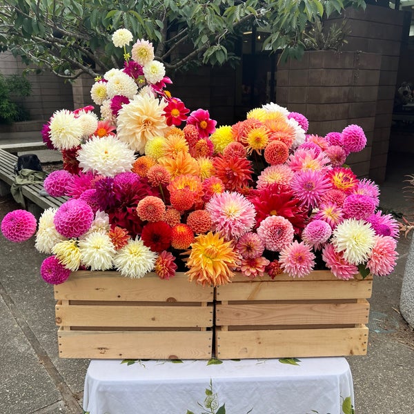 San Francisco County Fair Building - Golden Gate Park - 1 tip