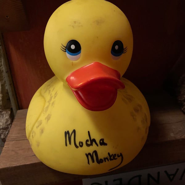 Mocha Monkey - 10 tips