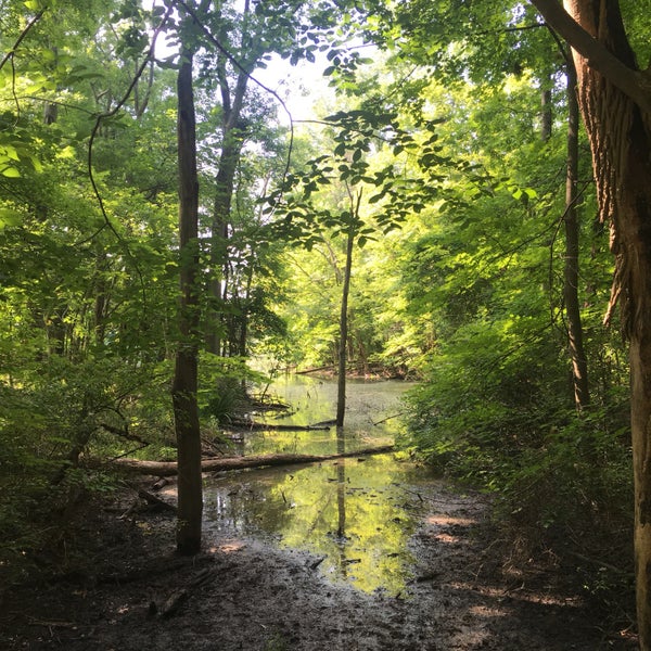 Cincinnati Nature Center (Rowe Woods) - 15 tips from 634 visitors