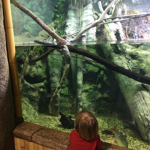 Living Planet Aquarium - Aquarium