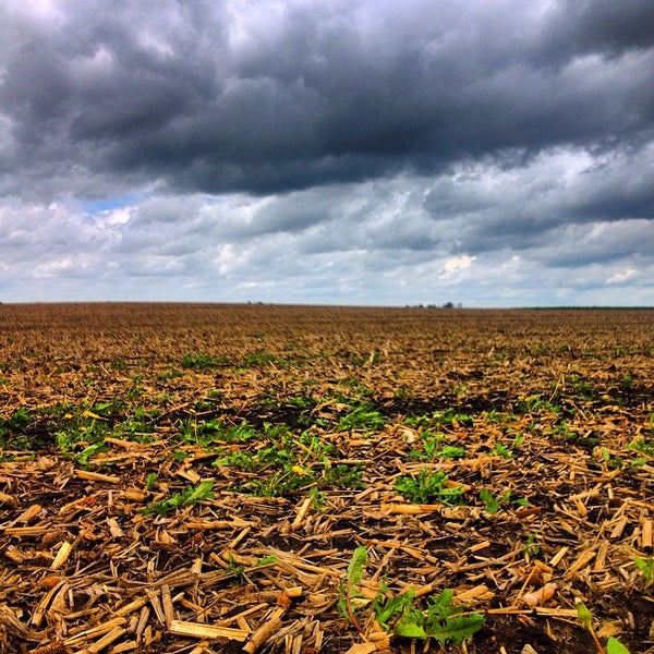 Vision Soccer Academy Complex - 7 tips from 135 visitors