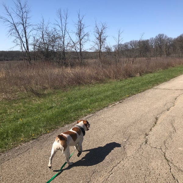 Rubio Woods - Midlothian, IL