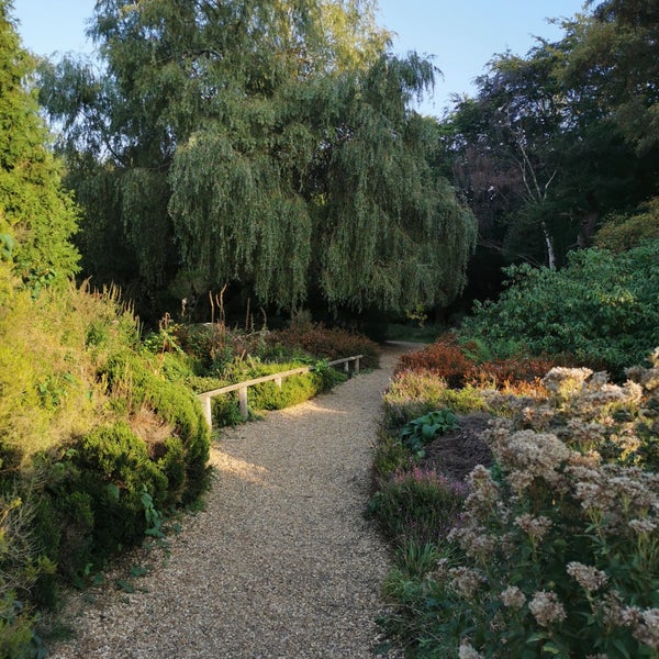 Isabella Plantation - Richmond Park