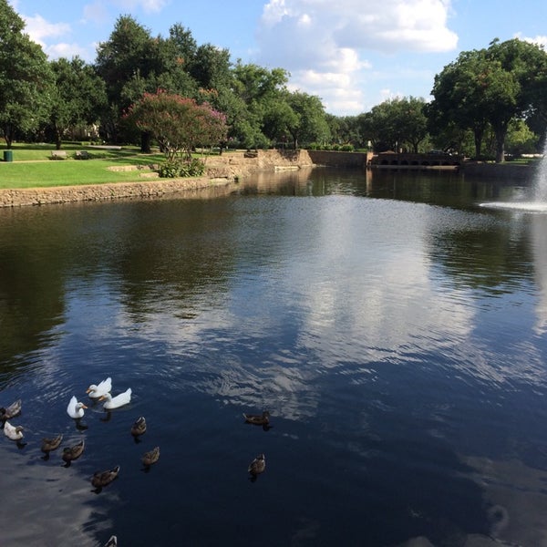 Williams Park - 4 tips