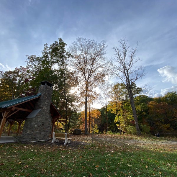 Ferncliff Forest - 5 tips from 246 visitors