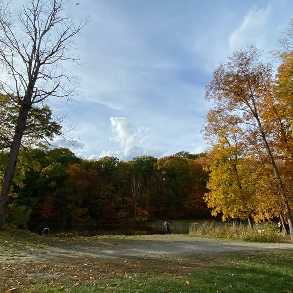 Ferncliff Forest - 5 tips from 246 visitors