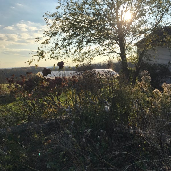 Hilltop Hanover Farm - 2 tips