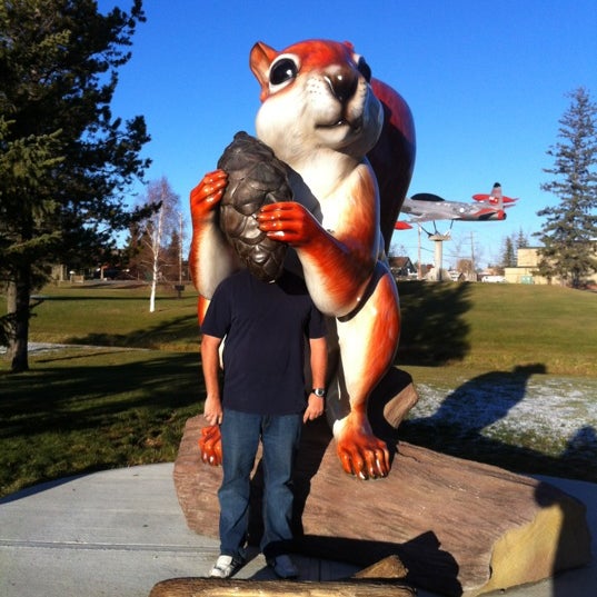 Eddie the Squirrel - Edson, AB
