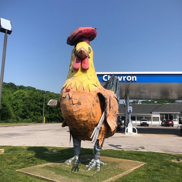 Shady Lawn Truck Stop "Home Of The Big Chicken" - Diner