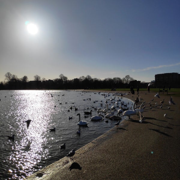 The Round Pond - Lake in London