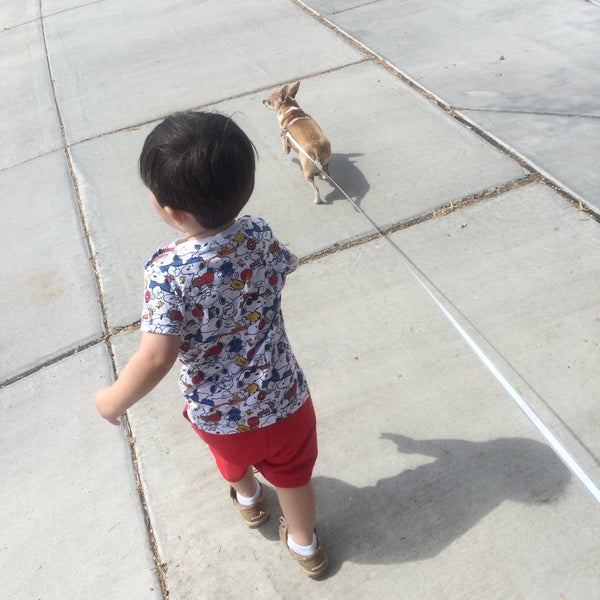 Photos at Sonoran Foothills Community Center - Sonoran Foothills ...