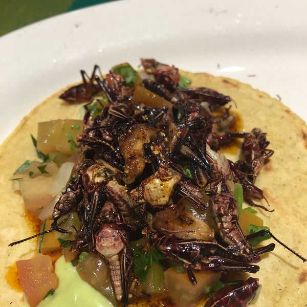 Restaurant Mole de Los Reyes - Mexican Restaurant