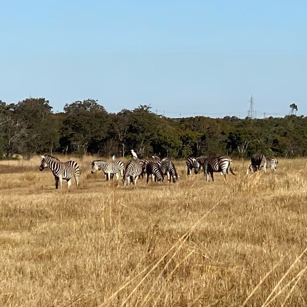 Cleveland Dam Recreational Park - Harare, Harare