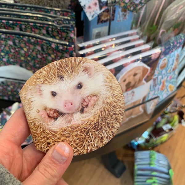 Papyrus - Gift Store in New York