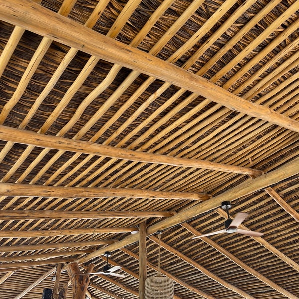 Mikoko - 1 tip from 18 visitors