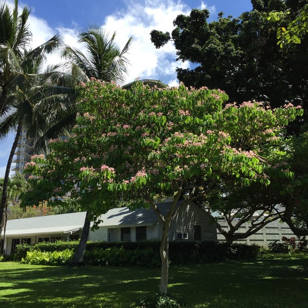 Photos at Kuroda Field - Waikiki - 1 tip
