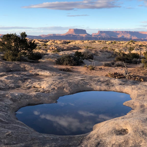 Canyonlands Needles District - Moab, UT