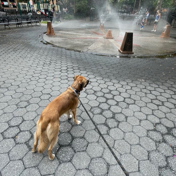 Carroll Park - Park in Brooklyn