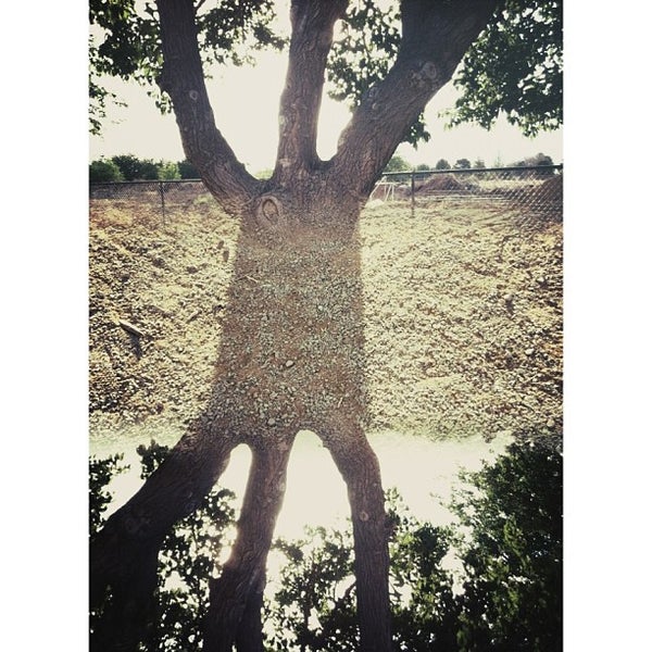 Apodaca Park - Park in Las Cruces