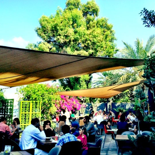 Lime Tree Cafe - Café in Jumeirah