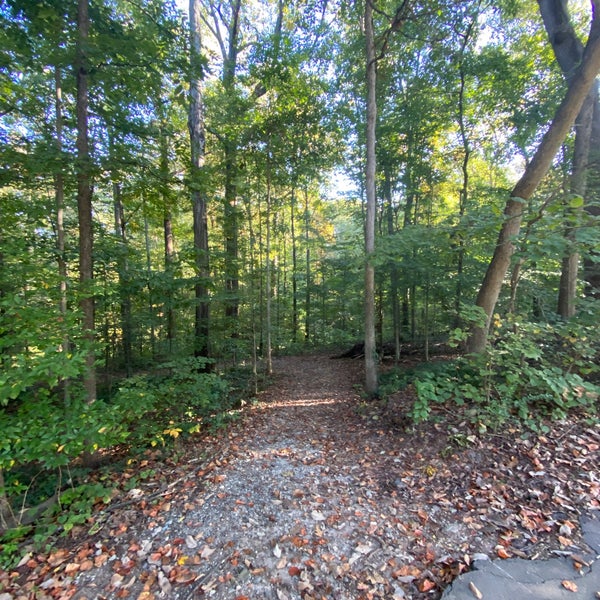 Photos at Deepdene Park - Park in Eastside