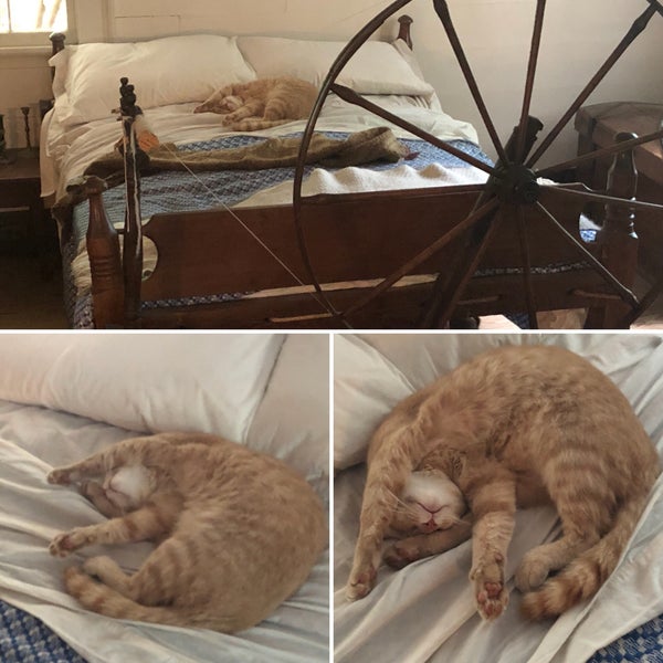 Smith Family Farm - Tullie Smith House - Buckhead - 4 tips from 242 ...