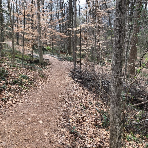 Photos at Deepdene Park - Park in Eastside