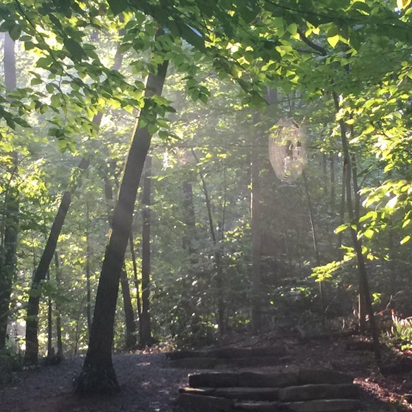 Photos at Deepdene Park - Park in Eastside