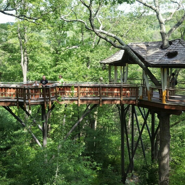 The David Wenzel Treehouse - Hill Section - Scranton, PA