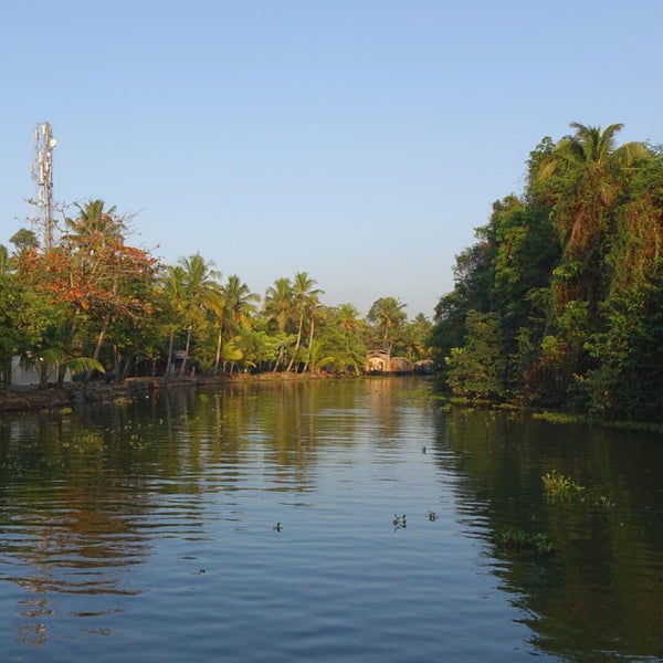 Kumarakom Backwaters - Backwaters - Kottayam, Kerala