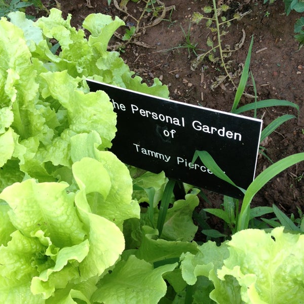 Mr. Cason's Vegetable Garden Callaway Gardens - Garden