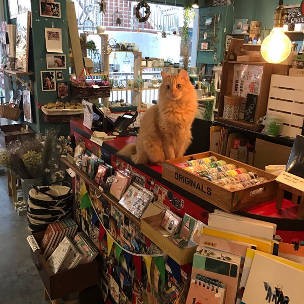 Cat Socrates (Now Closed) - Gift Store in Downtown Core