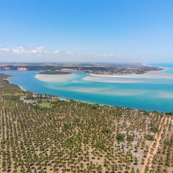 Praia do Gunga - 361 tips from 9461 visitors