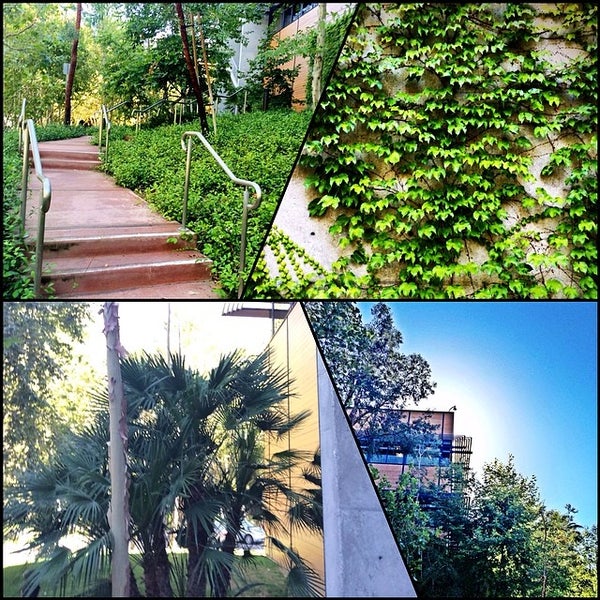 Esri Building Q - West Redlands - Redlands, CA