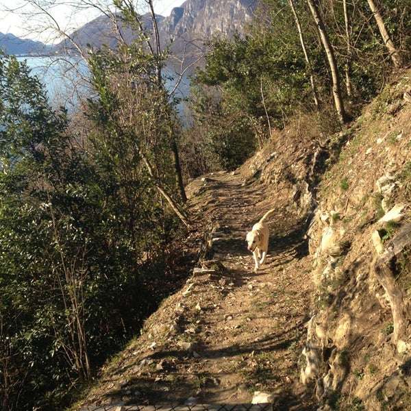 Sentiero Di Gandria - 5 tips from 133 visitors