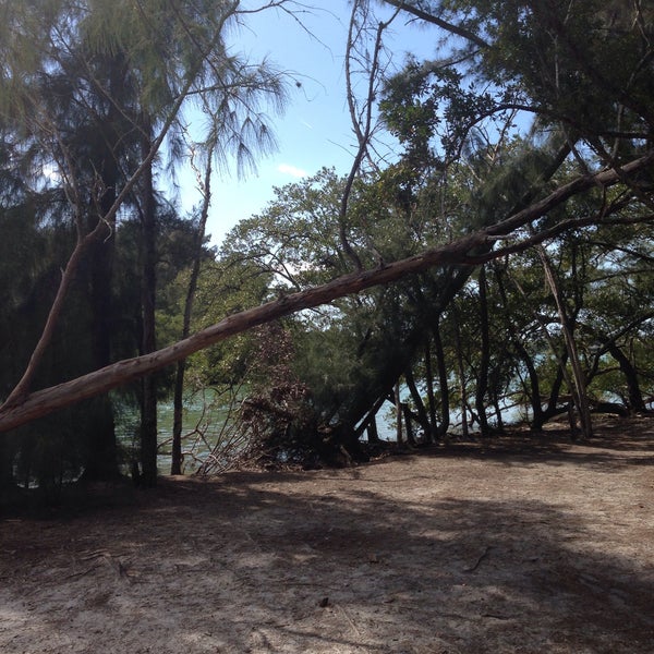 Big Edwards Island - Sarasota, FL