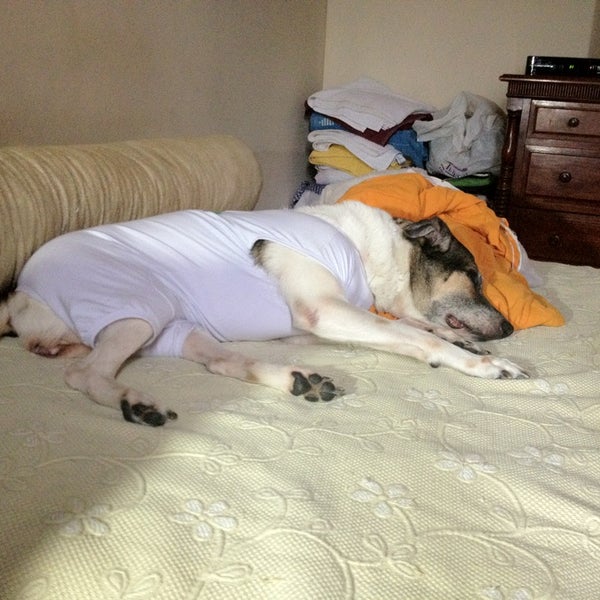 Photos at Bell Trinity Square - Toronto, ON