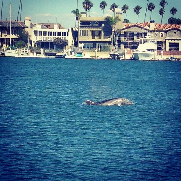 Leeway Sailing Center - Belmont Shore - 5431 E Ocean Blvd