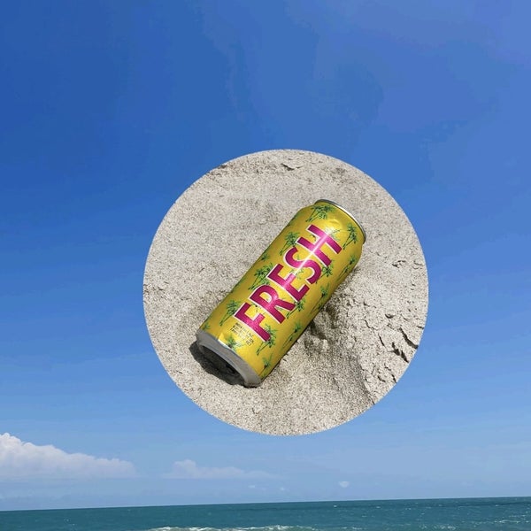 Turtle Trail Beach - Vero Beach, FL