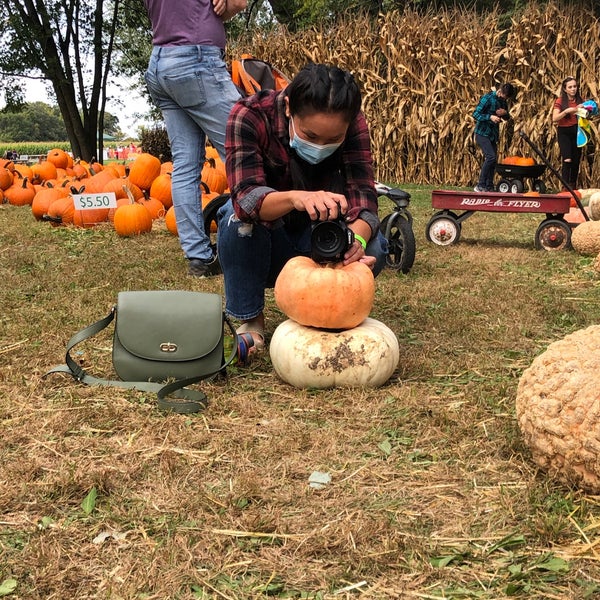 Kroll's Fall Harvest Farm - Farm in Waukegan