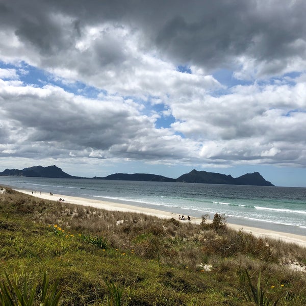 Ruakaka Surf Beach - Beach