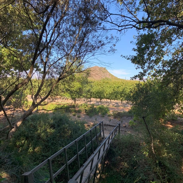 Backsberg Wine Estate - 97 tips from 357 visitors