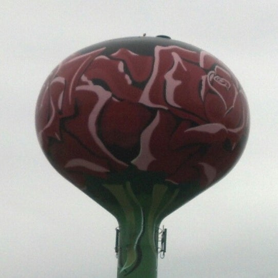 Photos at Rosemont Water Tower - 6 tips from 562 visitors