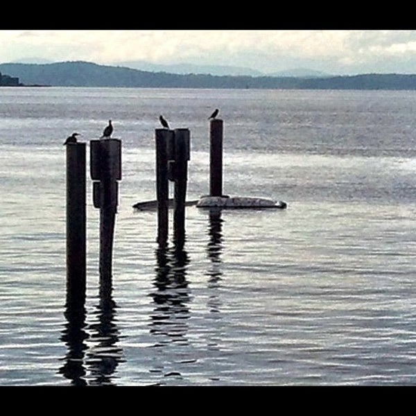 Pier 48 - Pioneer Square - Seattle, WA