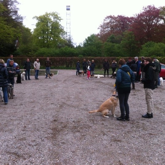 Boswachterij Dorst - 4 tips