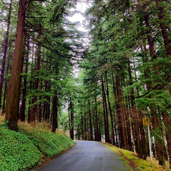Mt. Tabor Park - Portland, OR