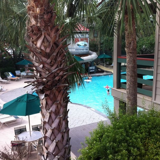 Photos at Big Dipper Pool At Disney's Hilton Head Resort - 1 tip from ...