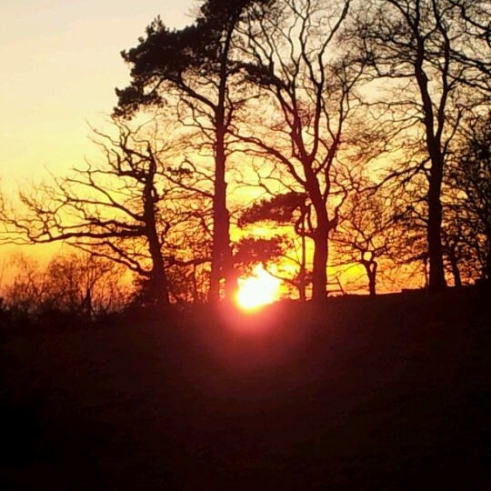 Hill Hole Quarry Nature Reserve - Markfield, Leicestershire